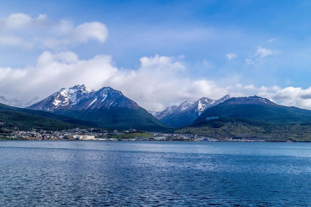 Martillo Island: Boat Tour to Penguin Colony - Ushuaia | Project Expedition