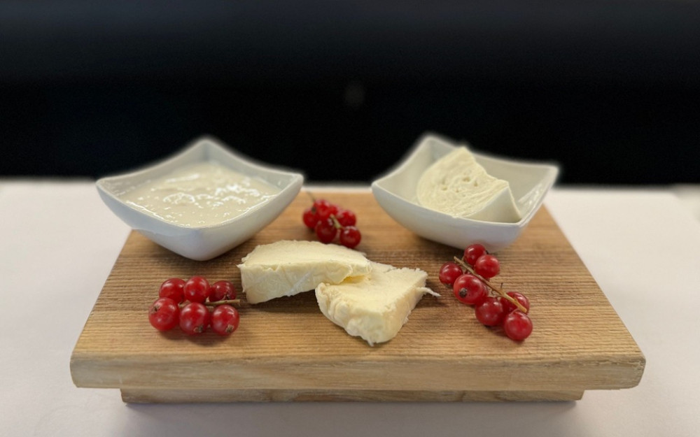 Italian Cheese and Wine Tasting in Rome - Rome | Project Expedition
