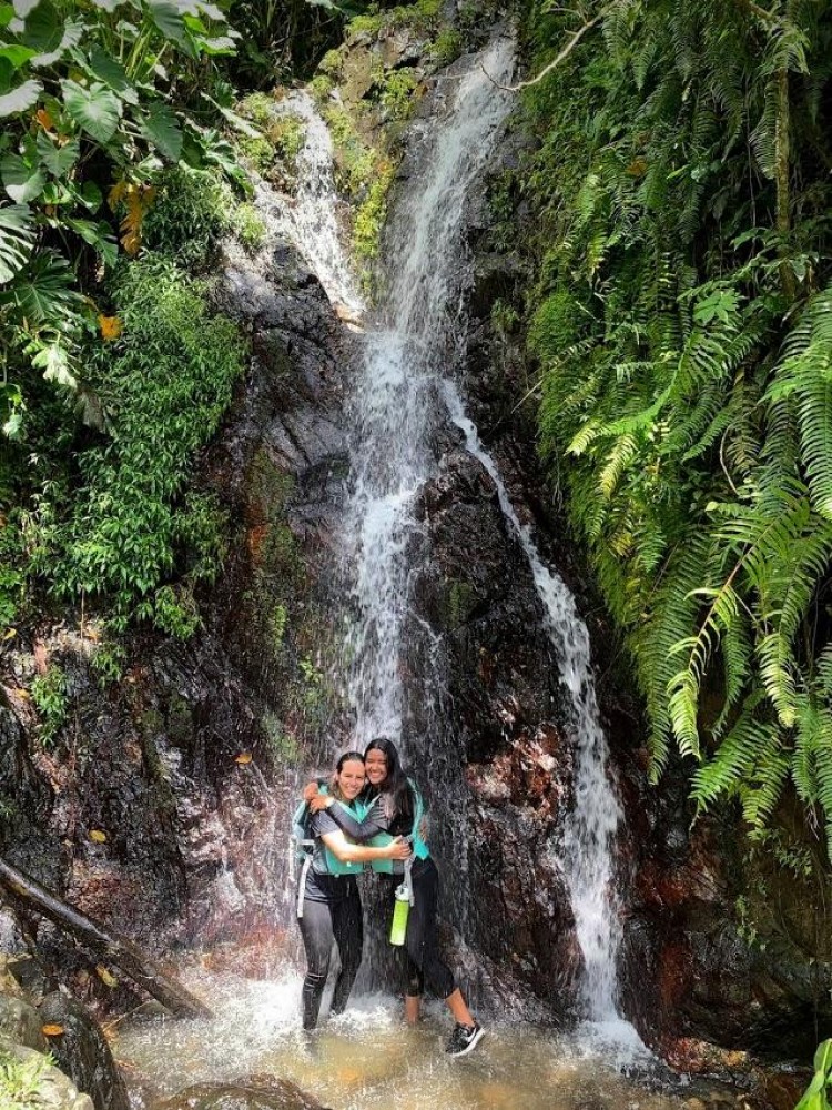 El Yunque Rainforest Tour - Luquillo | Project Expedition