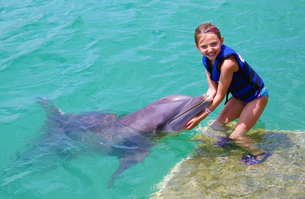 A Dolphin Moment at Coral World - Red Hook | Project Expedition