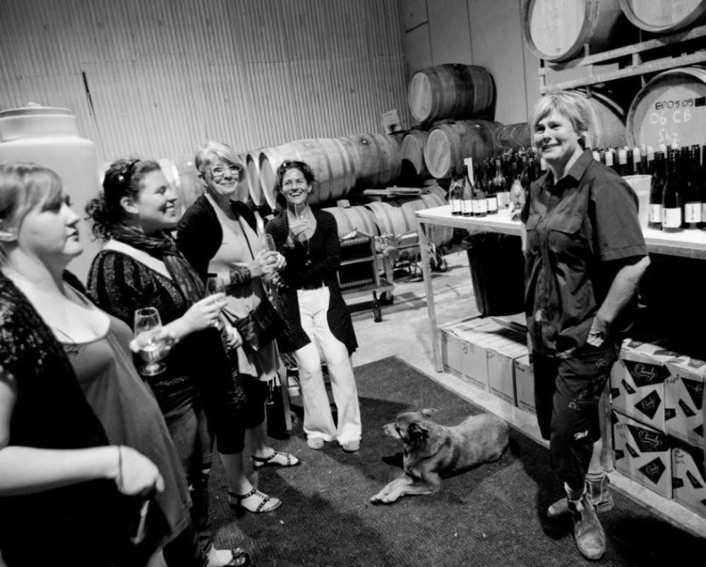 Vinetrekker Wine Tours | Project Expedition