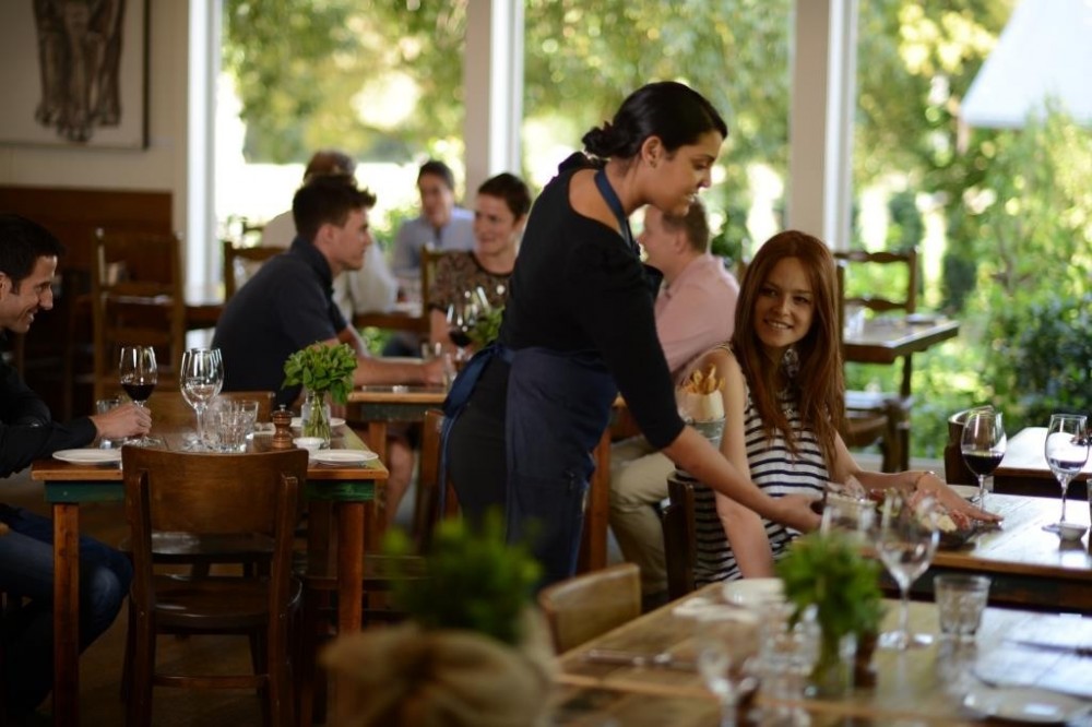 Vinetrekker Wine Tours | Project Expedition