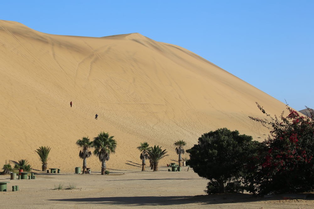 Private Walvis Bay Half Day Tour - Walvis Bay | Project Expedition