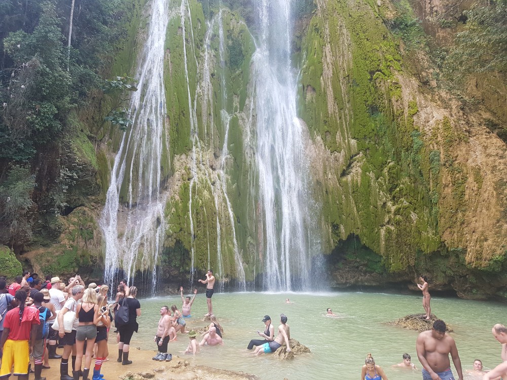 Guided Full Day Samana Experience From Punta Cana With Lunch - Punta ...