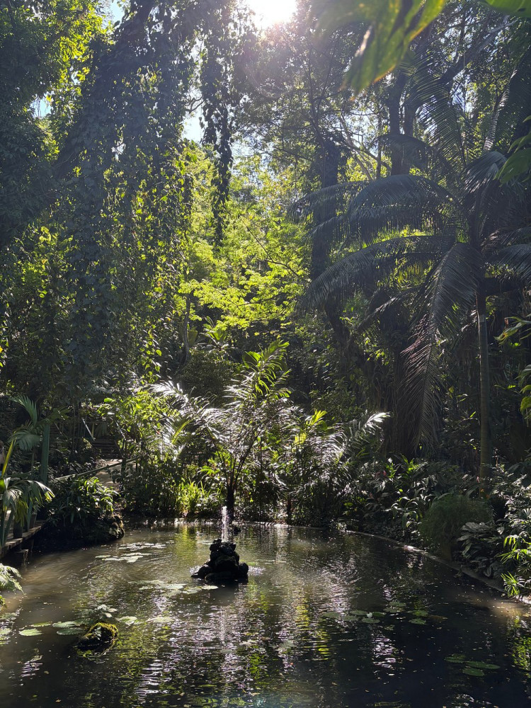Discover Nadi Small Group Tour - Nadi (Port Denarau) | Project Expedition
