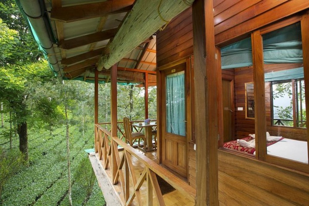 Overnight Treehouse Stay In Munnar - Kochi (Cochin) | Project Expedition