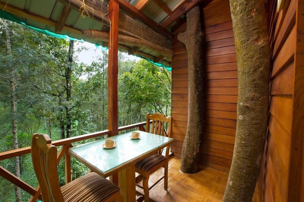 Overnight Treehouse Stay In Munnar - Kochi (Cochin) | Project Expedition