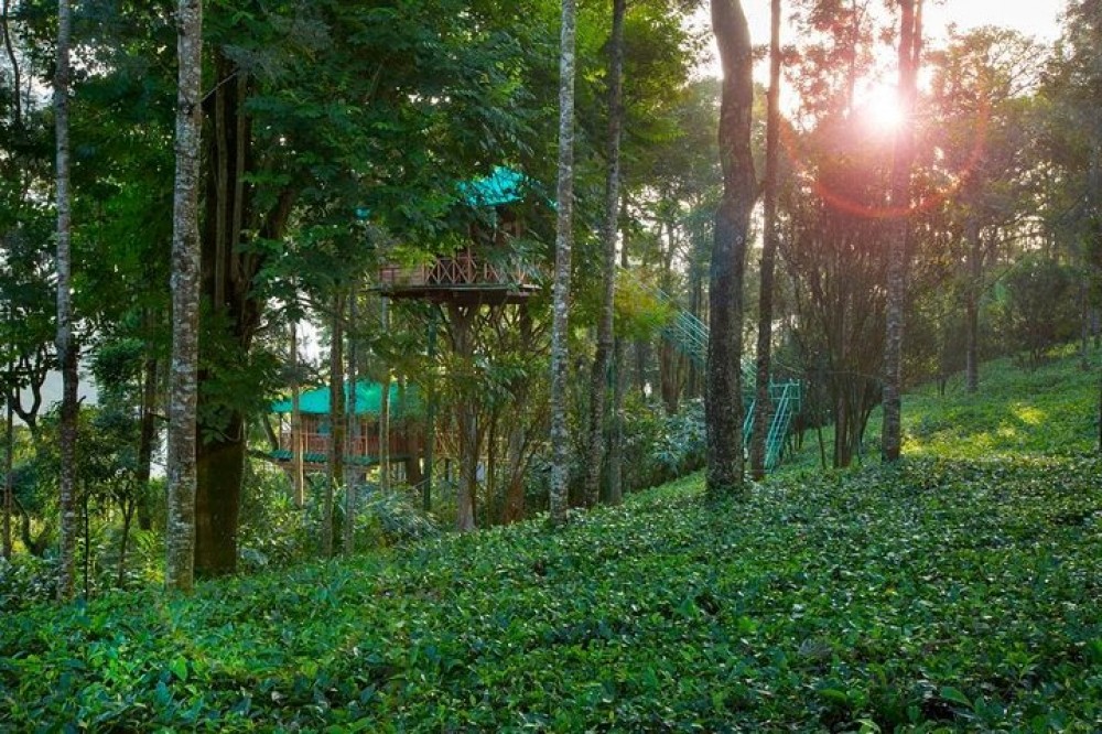 Overnight Treehouse Stay In Munnar - Kochi (Cochin) | Project Expedition