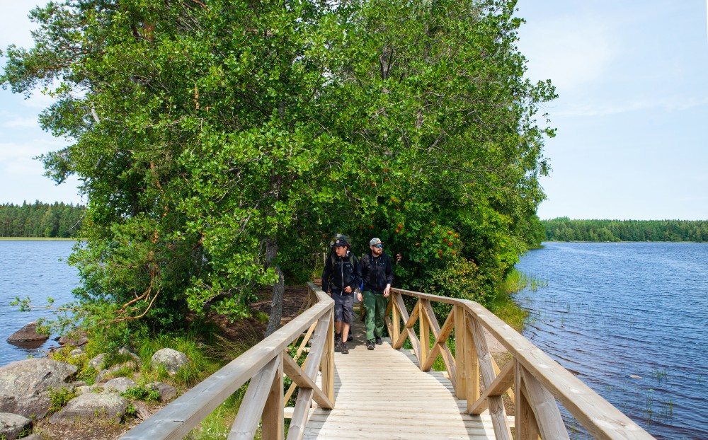 Magical Taiga Forest Hike - Helsinki | Project Expedition