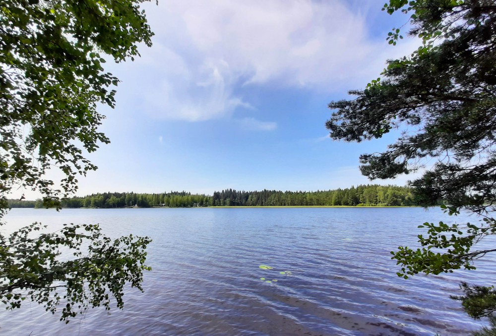 Magical Taiga Forest Hike - Helsinki | Project Expedition