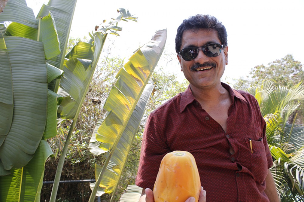 Private: Typical Goan Saraswat Cuisine - Panaji | Project Expedition