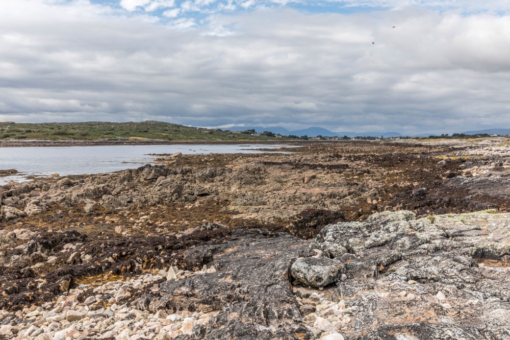 Private Coastal Foraging Walk, Farm Tour and Tasting In Rossaveal ...