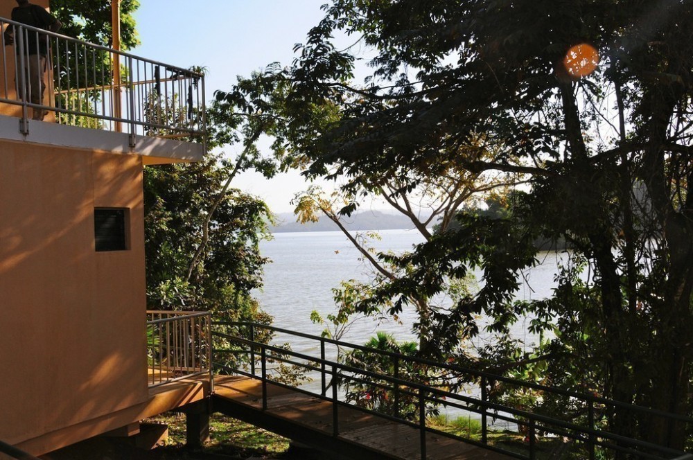 Barro Colorado Island | Sights & Attractions - Project Expedition