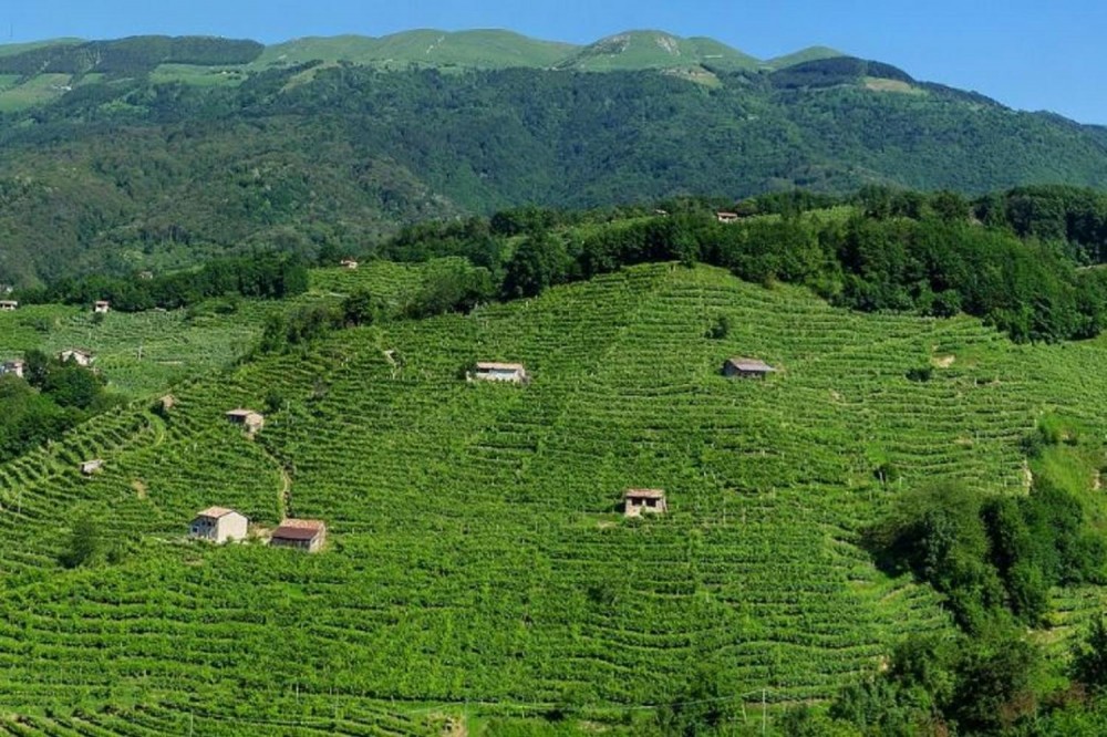 Prosecco Wine Road: Full day Tour And Wine Tasting From Venice - Venice ...