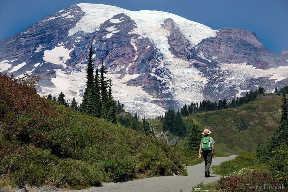 Mt. Rainier National Park Tour - Seattle | Project Expedition