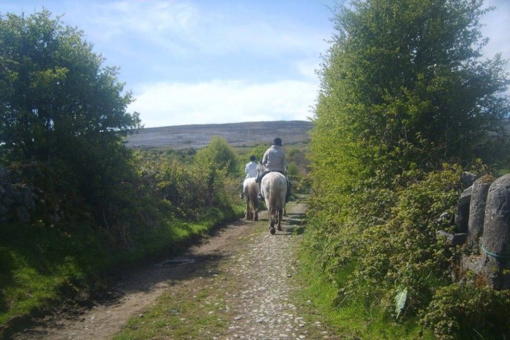 Horse Riding - Dirt Trek Trail - Lisdoonvarna, County Clare ...