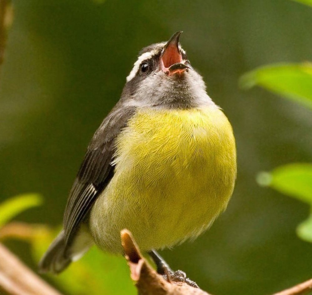 Blue Pass | Project Expedition