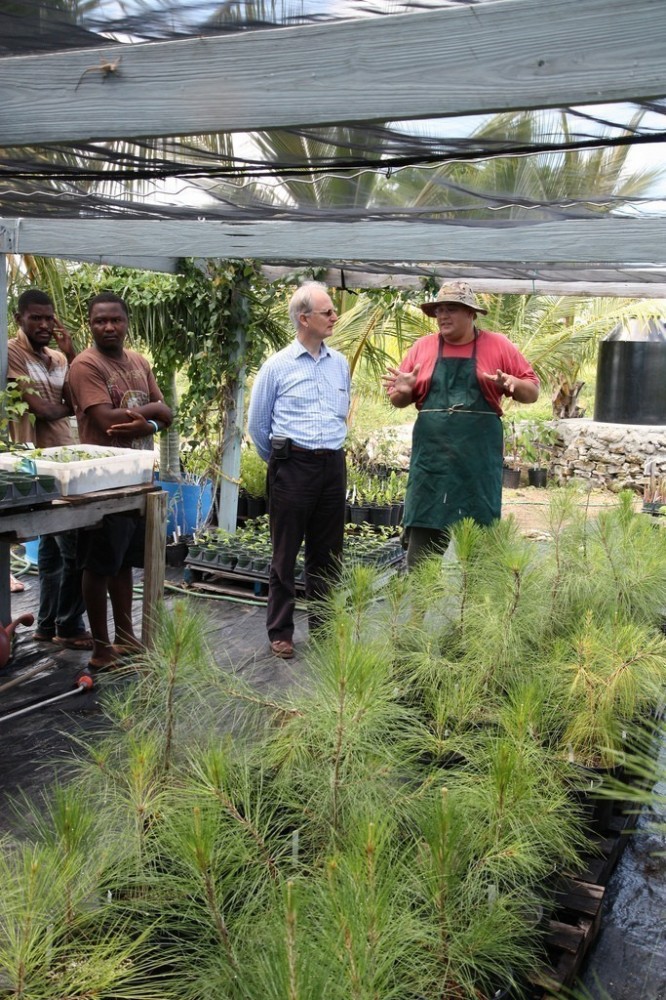 Government Farm (North Caicos) | Sights & Attractions - Project Expedition