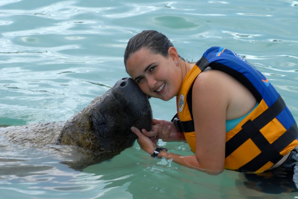 Manatee Encounter At Dolphin Isla Mujeres - Isla Mujeres | Project ...