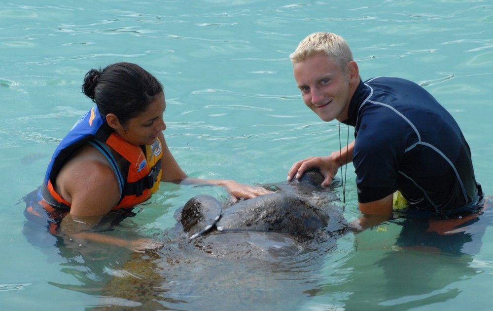 Manatee Encounter At Dolphin Isla Mujeres - Isla Mujeres | Project ...