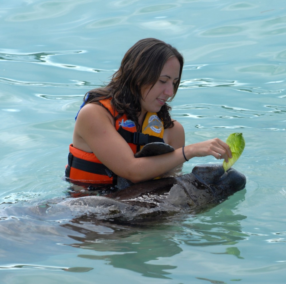 Manatee Encounter At Dolphin Isla Mujeres - Isla Mujeres | Project ...