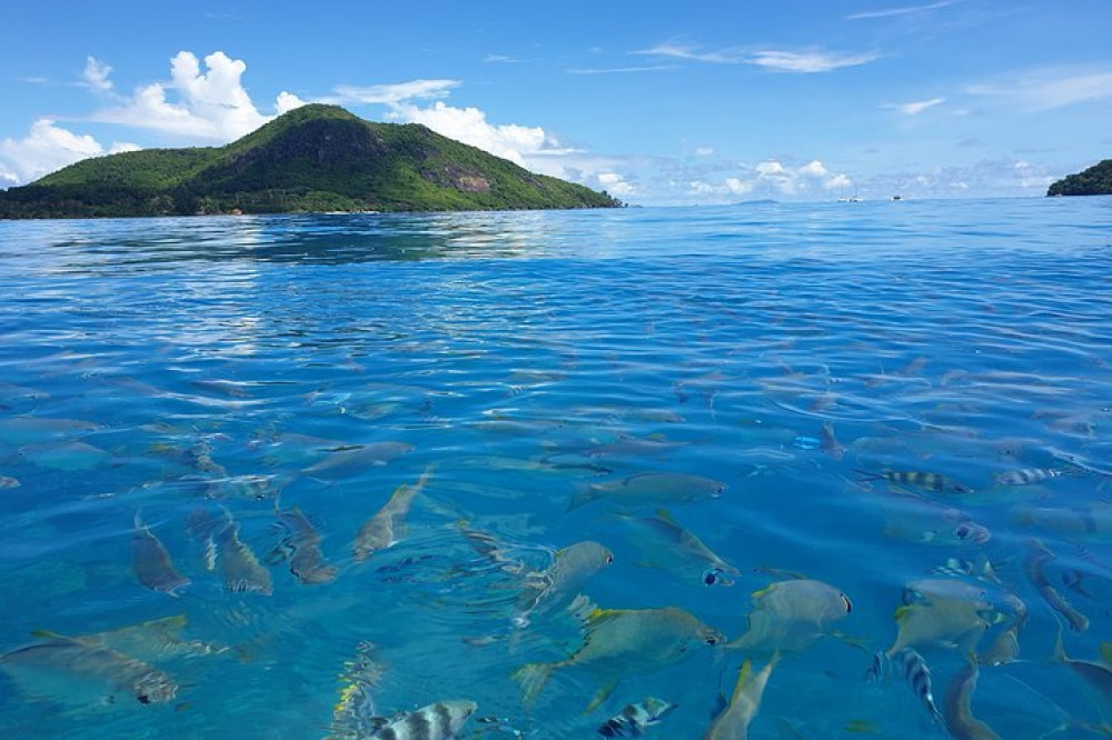Private Shore Excursion: St Anne Marine Park by Boat From Mahe ...