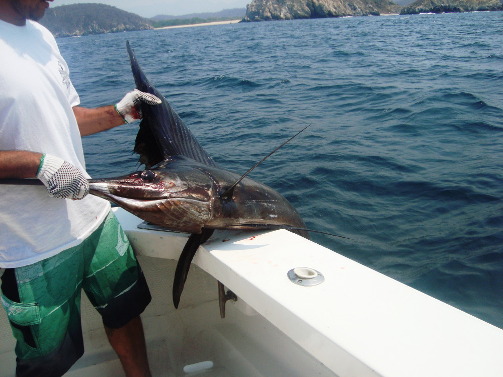 Deep Sea Fishing Panga in Huatulco - Huatulco | Project Expedition