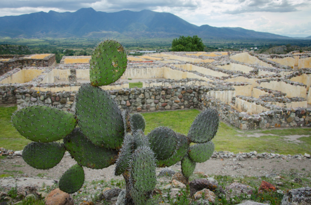 Oaxaca: Tlacolula Traditional Market - Oaxaca | Project Expedition