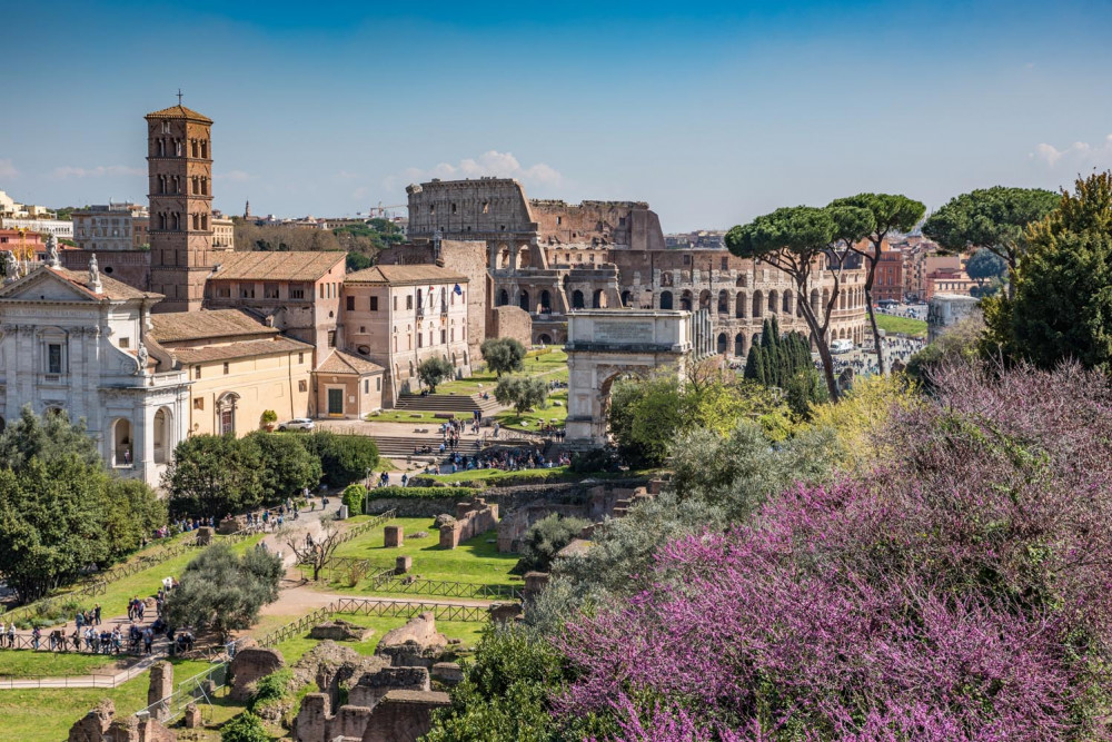 Private Rome in a Day Tour with Colosseum & Sistine Chapel - Rome ...
