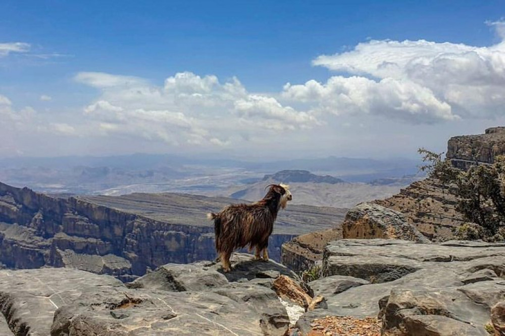 Hike Around Jabal Shams – Oman’s Highest Peak - Muscat | Project Expedition