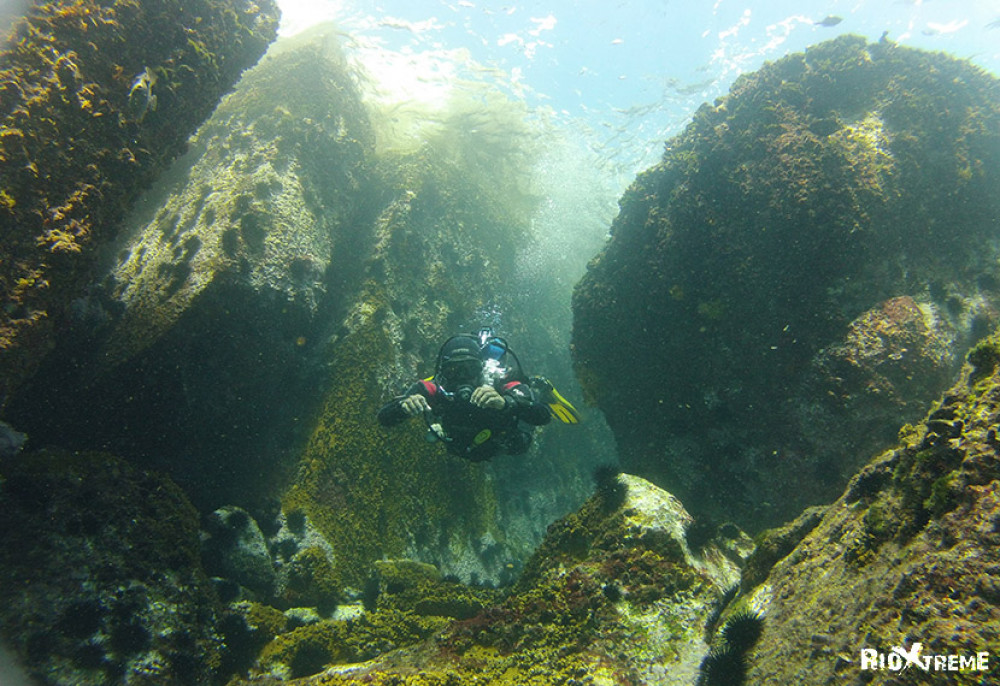 Scuba Diving Rio de Janeiro - Rio de Janeiro | Project Expedition