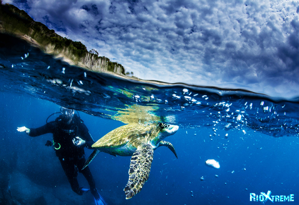 Scuba Diving Rio de Janeiro - Rio de Janeiro | Project Expedition