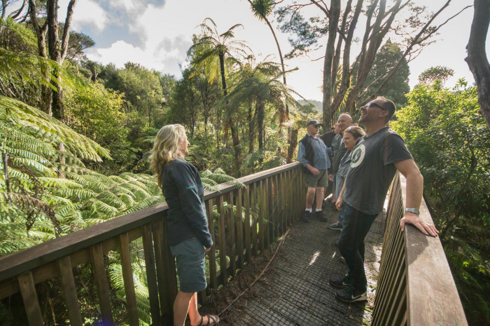 Small Group Wilderness Experience Nature Tour - Auckland | Project ...
