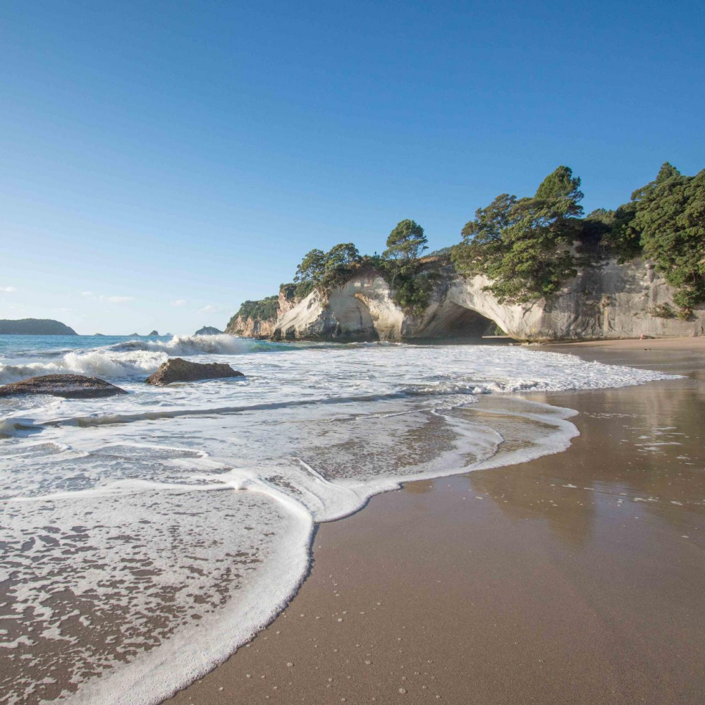 Bush and Beach - Project Expedition