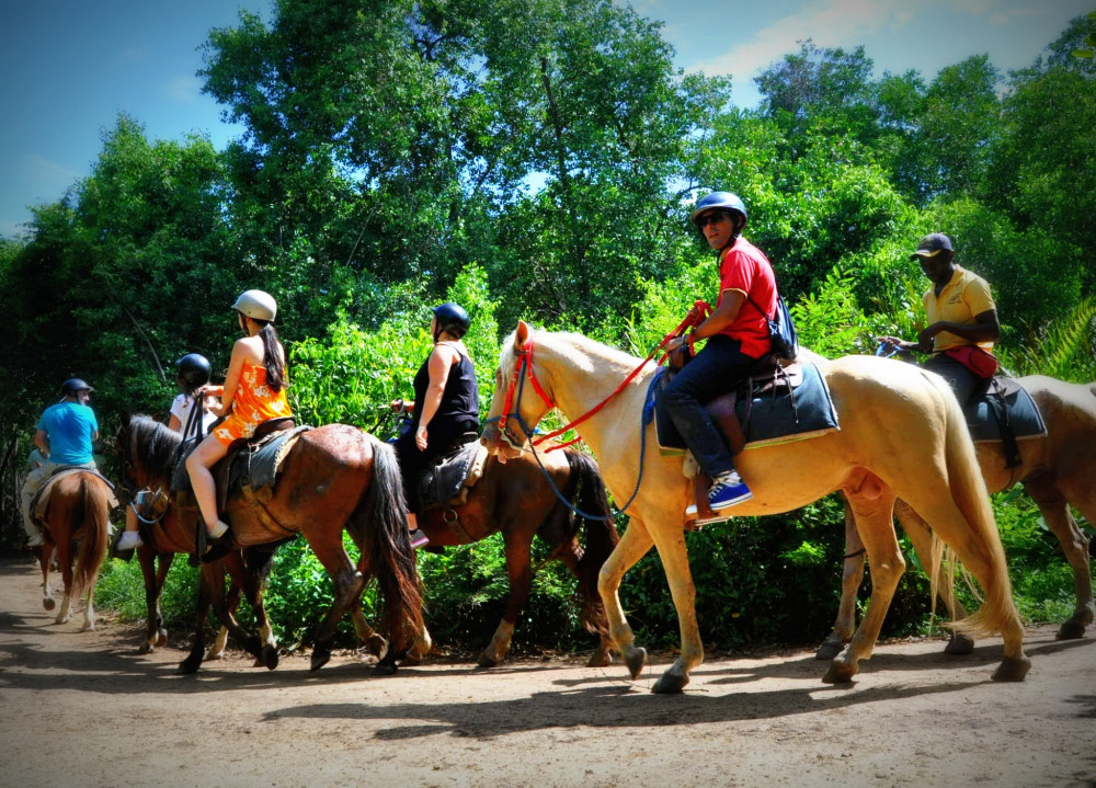 2-Hour Horseback Ride On The Beach - Punta Cana | Project Expedition