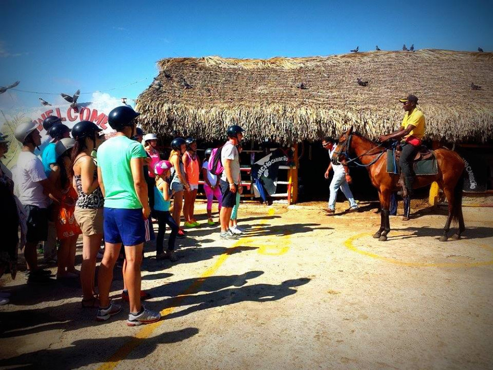 2-Hour Horseback Ride On The Beach - Punta Cana | Project Expedition