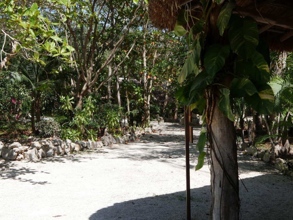 Rio Secreto Underground River Tour with Crystal Caves - Cancun ...