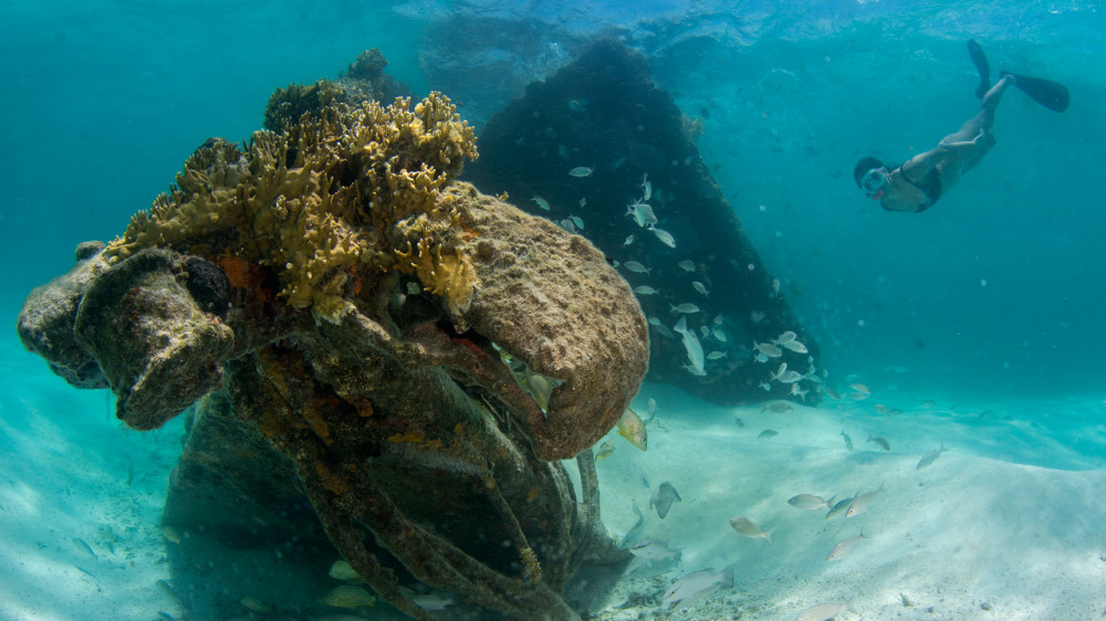 Isla Mujeres with Snorkeling - Cancun | Project Expedition