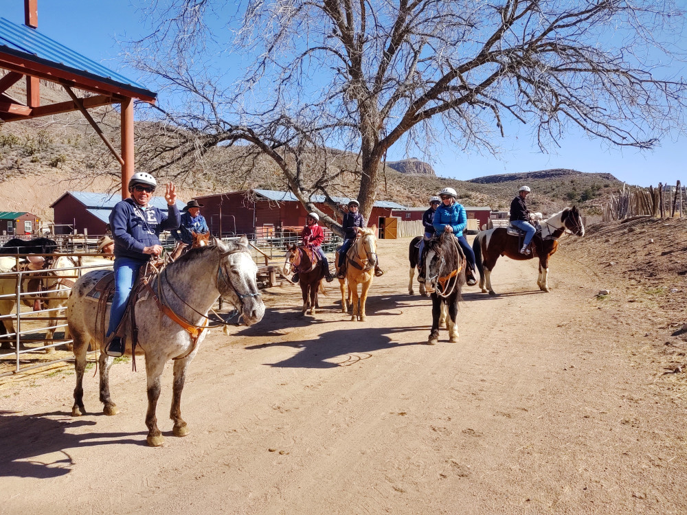 Horseback Riding/AZ Joshua Tree Forrest & Buffalo Tour - Las Vegas ...