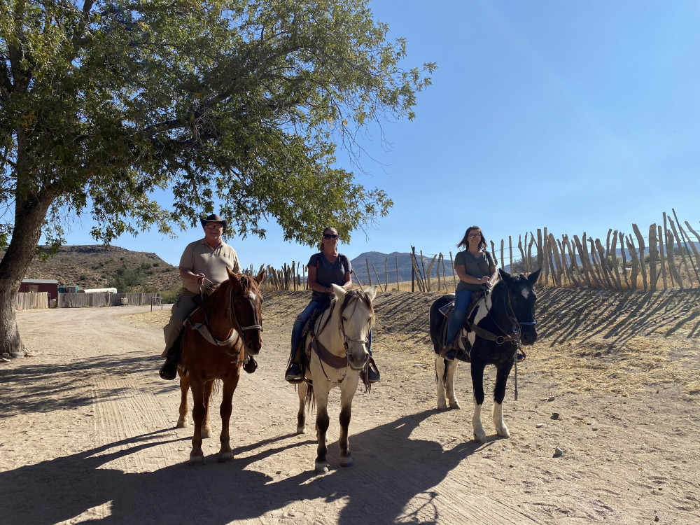 Horseback Riding/AZ Joshua Tree Forrest & Buffalo Tour - Las Vegas ...