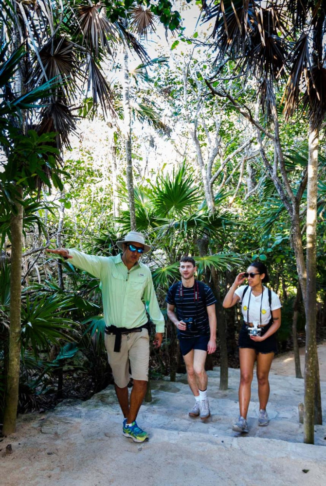 Small Group Tulum Jungle Adventure with Ziplining, Cenotes, and ...