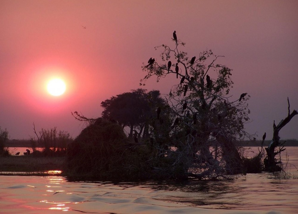 The Chobe River | Sights & Attractions - Project Expedition