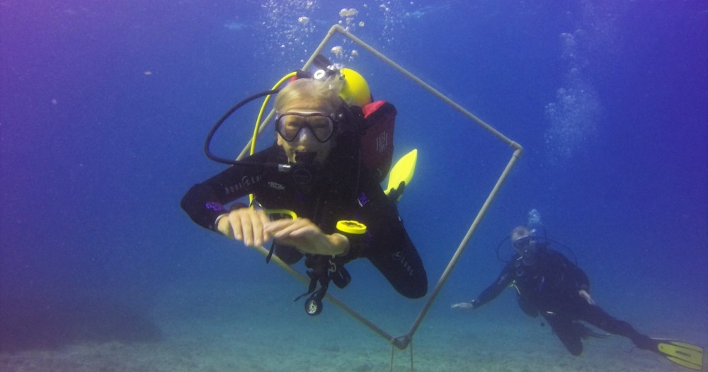 Taba Diving Centre | Project Expedition