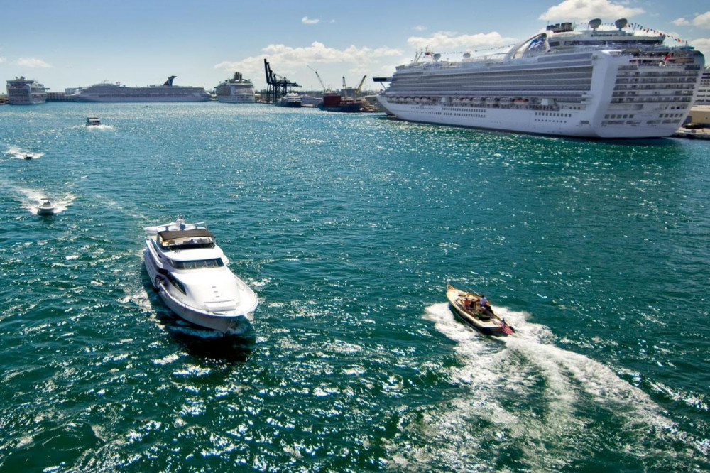 Gray Line Miami - Project Expedition