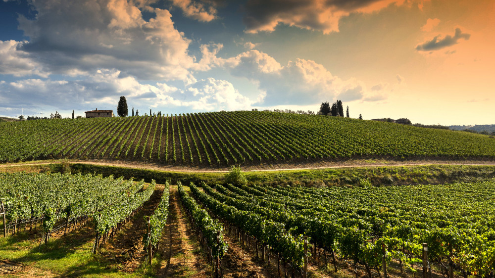 Woodinville Wine Country - Operated by Bandwango - Project Expedition