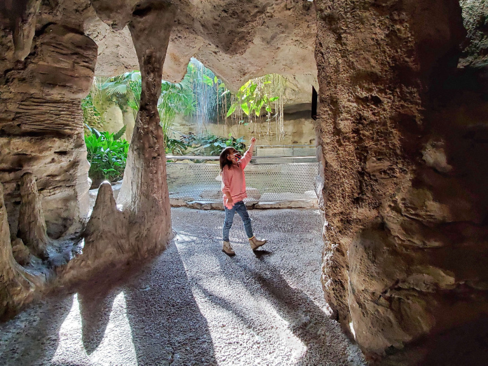 Visit Houston - Operated by Bandwango - Project Expedition