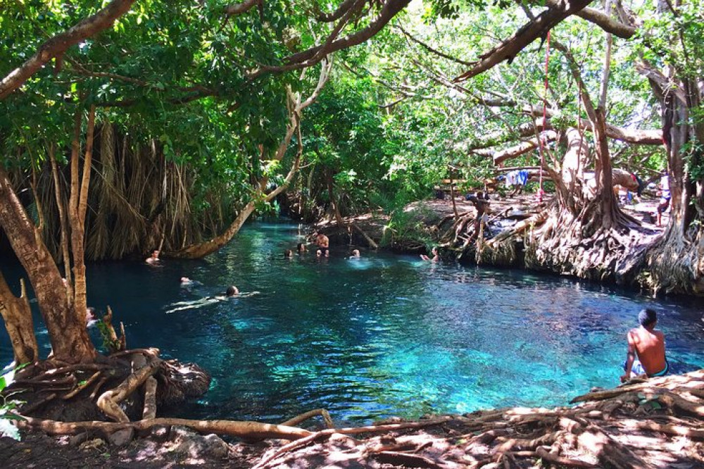 Kikuletwa Hot Springs Day Trip - Moshi | Project Expedition