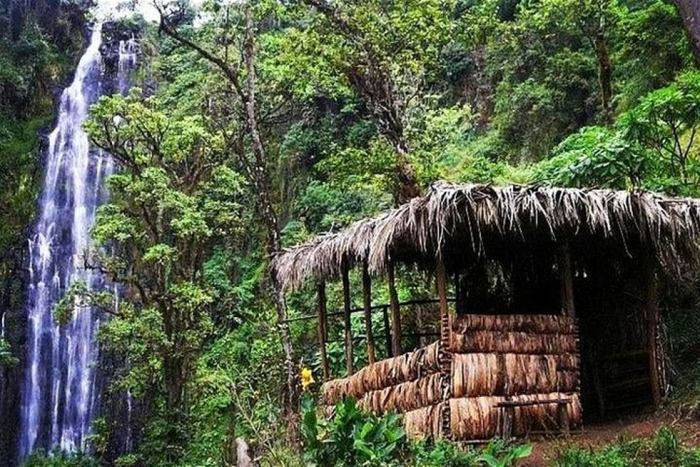 Materuni Waterfalls, Coffee and Village Full Day Tour - Moshi | Project ...
