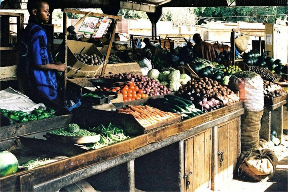 Full-Day Moshi Private Forest Walk and Local Market Tour - Moshi ...