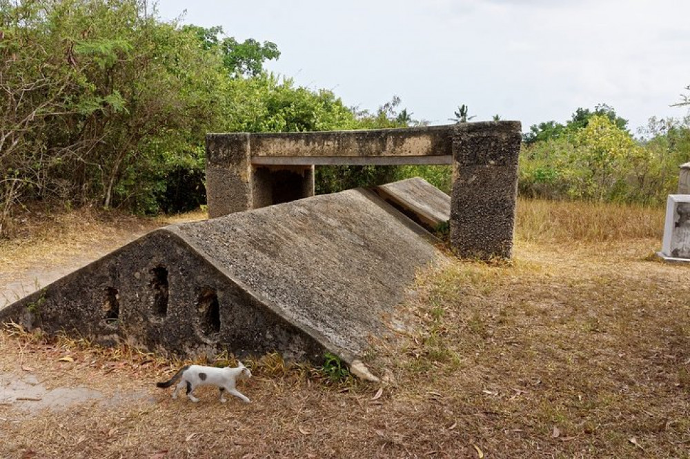 9-Day Tanzania Historical Sites Tour With Safari and Zanzibar - Tanga ...